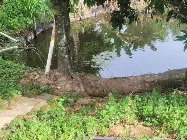 Sítio / Chácara para Venda em Jacutinga/MG Zona Rural 2 Quartos