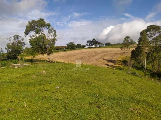 Sítio / Chácara para Venda em Jaguapitã/PR Centro 1 Quartos