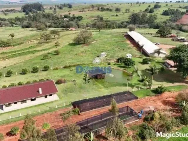 Sítio / Chácara para Venda em Jaguapitã/PR Zona Rural 3 Quartos