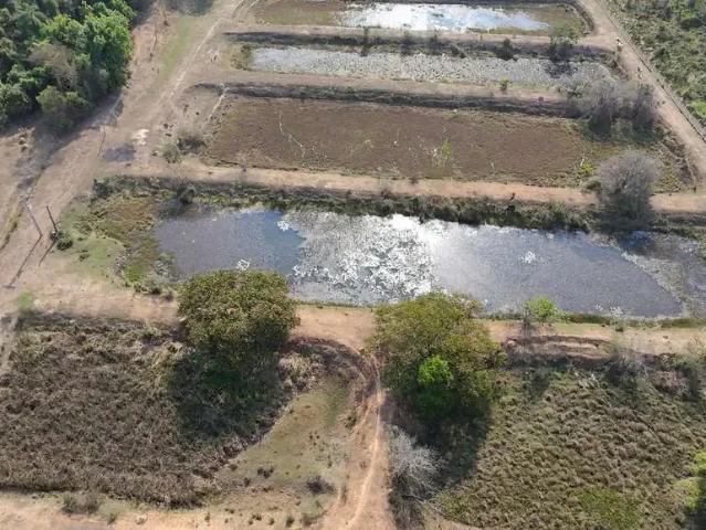 Sítio / Chácara para Venda em Jaguariúna/SP Tanquinho Velho 2 Quartos