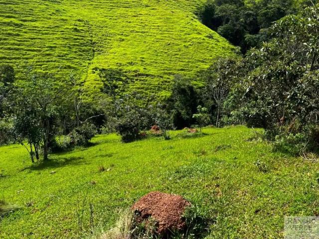 Sítio / Chácara para Venda em Jambeiro/SP Zona Rural