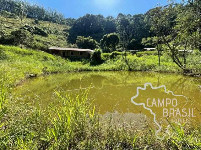 Sítio / Chácara para Venda em Jambeiro/SP Zona Rural 3 Quartos