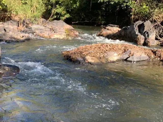 Sítio / Chácara para Venda em Jangada/MT Zona Rural