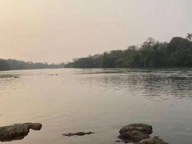Sítio / Chácara para Venda em Jangada/MT Zona Rural