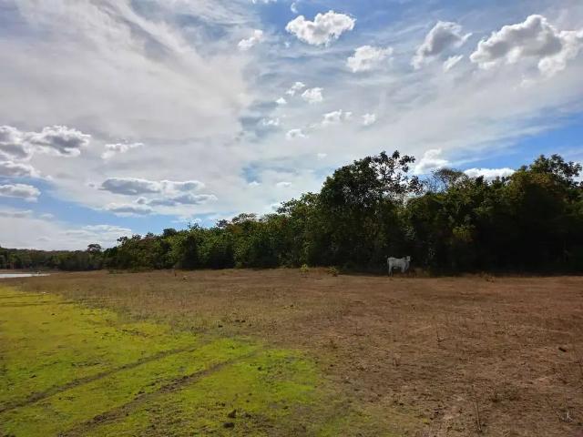 Sítio / Chácara para Venda em Jangada/MT Zona Rural