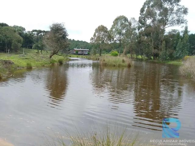 Sítio / Chácara para Venda em Jaquirana/RS Zona Rural 3 Quartos