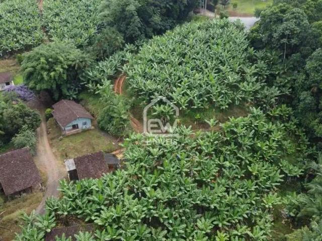 Sítio / Chácara para Venda em Jaraguá do Sul/SC Área Rural de Jaraguá do Sul 3 Quartos