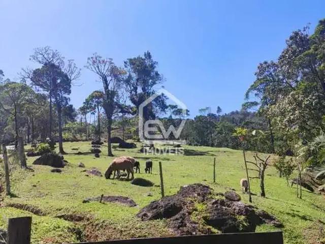 Sítio / Chácara para Venda em Jaraguá do Sul/SC Barra do Rio Molha 2 Quartos