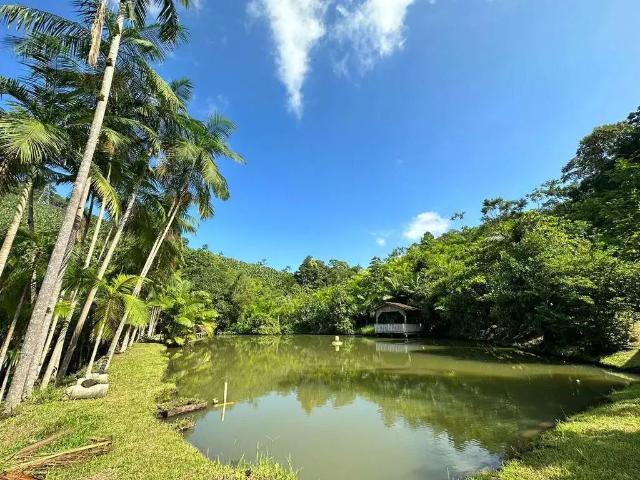 Sítio / Chácara para Venda em Jaraguá do Sul/SC Jaraguá 84 1 Quartos