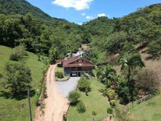 Sítio / Chácara para Venda em Jaraguá do Sul/SC Jaraguá 99 5 Quartos