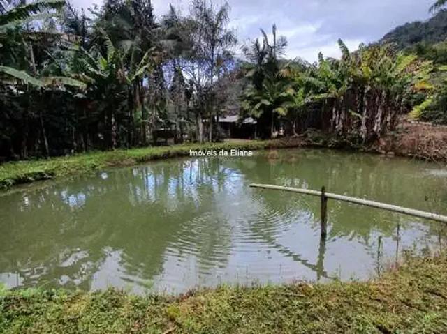 Sítio / Chácara para Venda em Jaraguá do Sul/SC Rio Cerro II