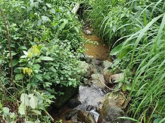 Sítio / Chácara para Venda em Jaraguá do Sul/SC Rio da Luz