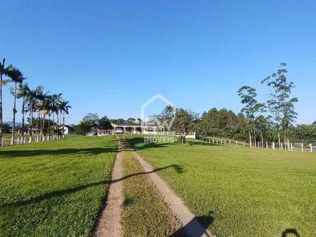 Sítio / Chácara para Venda em Jaraguá do Sul/SC Santo Antônio 3 Quartos