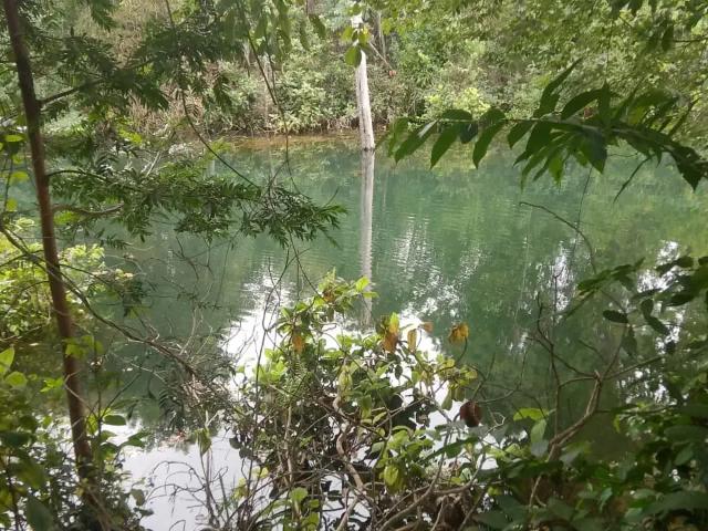 Sítio / Chácara para Venda em Jaraguari/MS Zona Rural