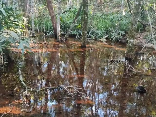 Sítio / Chácara para Venda em Jaraguari/MS Zona Rural 2 Quartos