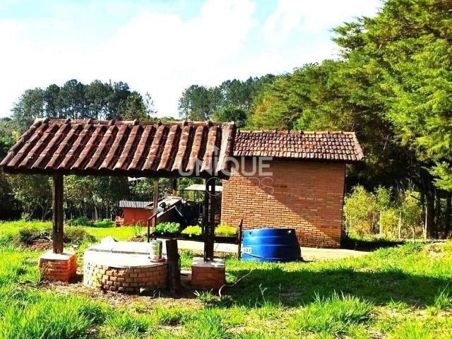 Sítio / Chácara para Venda em Jarinu/SP Caioçara 1 Quartos