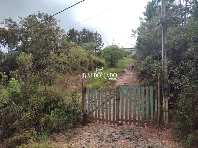 Sítio / Chácara para Venda em Jarinu/SP Centro 2 Quartos