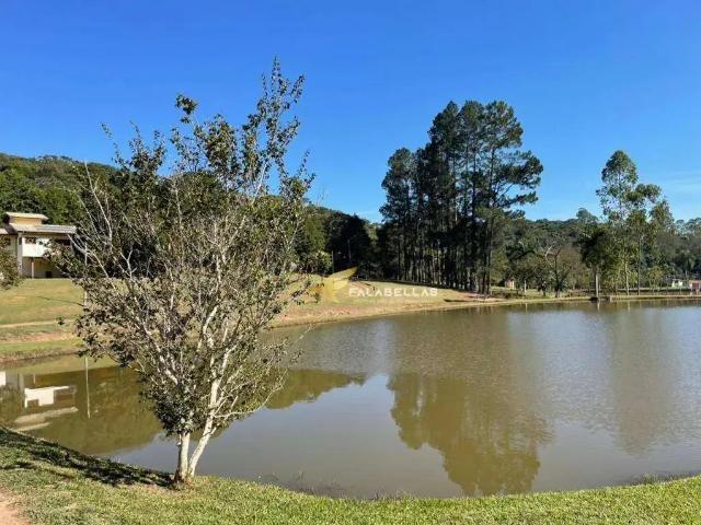 Sítio / Chácara para Venda em Jarinu/SP Estancia São Paulo 7 Quartos