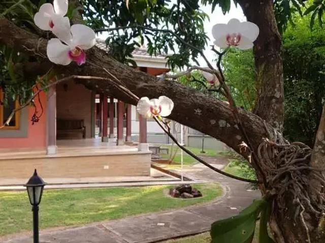 Sítio / Chácara para Venda em Jarinu/SP Esplanada do Carmo 3 Quartos