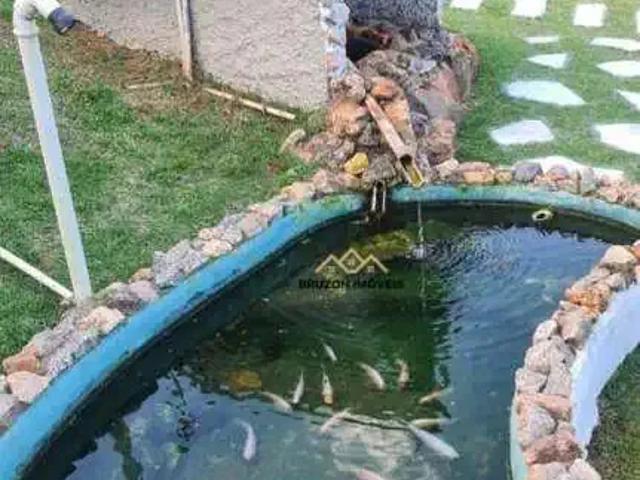 Sítio / Chácara para Venda em Jarinu/SP Jardim Primavera 3 Quartos