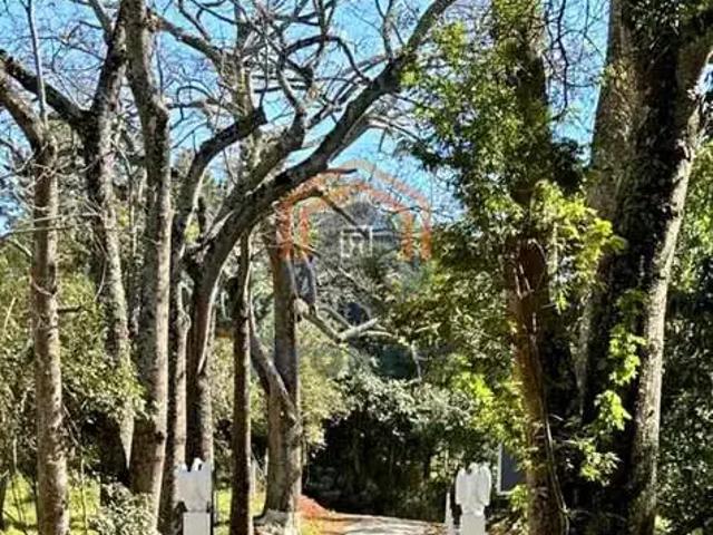 Sítio / Chácara para Venda em Jarinu/SP Soares