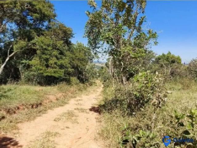 Sítio / Chácara para Venda em Jarinu/SP Pitangal