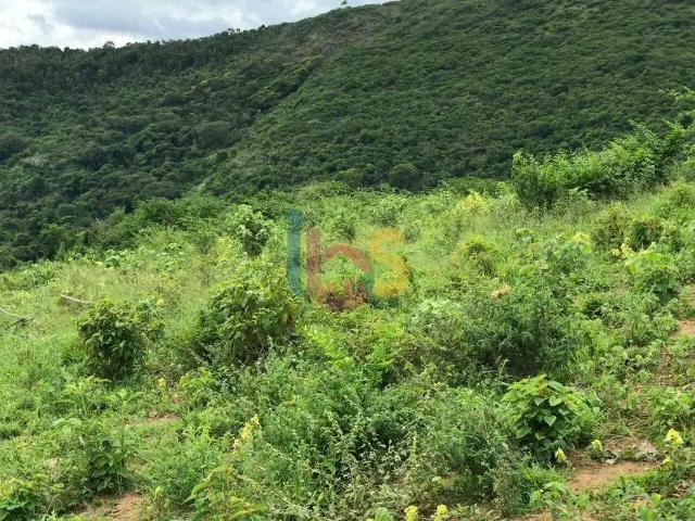 Sítio / Chácara para Venda em Jequié/BA Área Rural de Jequié