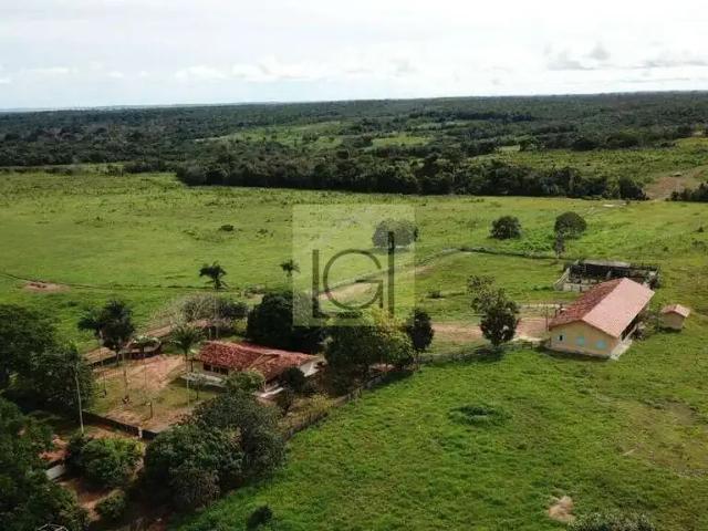 Sítio / Chácara para Venda em Juara/MT Zona Rural