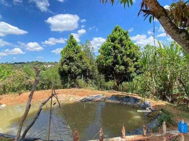 Sítio / Chácara para Venda em Juatuba/MG Vila Maria Regina 8 Quartos