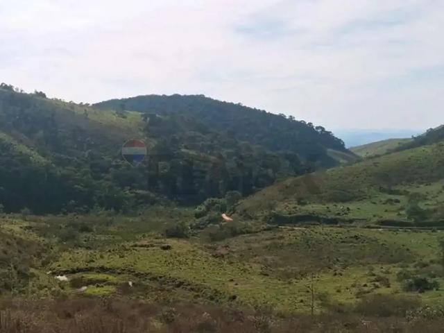 Sítio / Chácara para Venda em Juiz de Fora/MG Centro