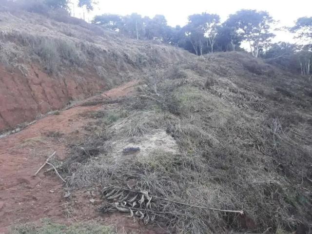 Sítio / Chácara para Venda em Juiz de Fora/MG Área Rural de Juiz de Fora