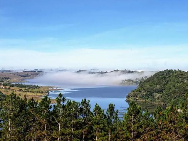 Sítio / Chácara para Venda em Juiz de Fora/MG Grama 3 Quartos