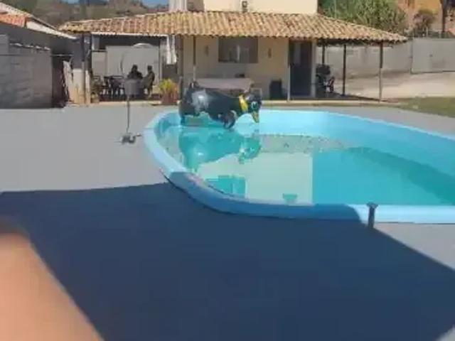 Sítio / Chácara para Venda em Juiz de Fora/MG Floresta 3 Quartos