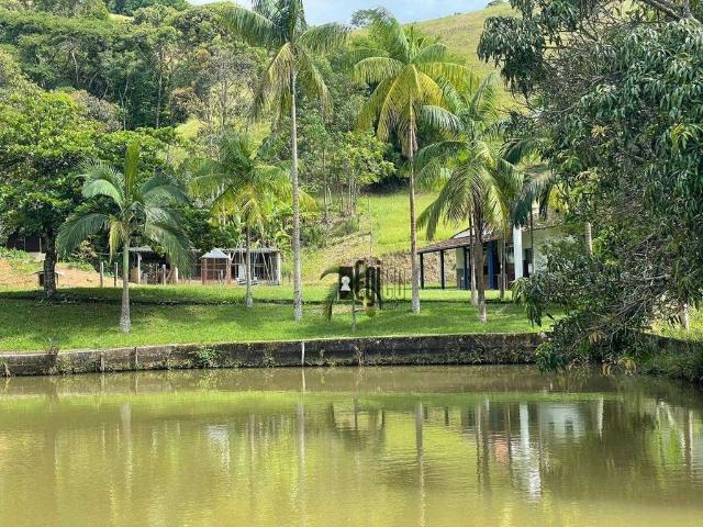 Sítio / Chácara para Venda em Juiz de Fora/MG Floresta 6 Quartos