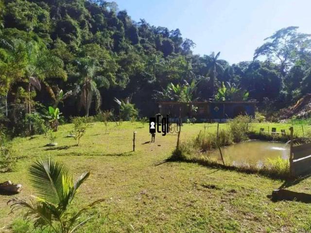 Sítio / Chácara para Venda em Juiz de Fora/MG Monte Verde 3 Quartos