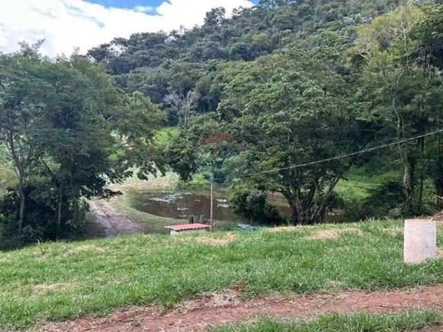 Sítio / Chácara para Venda em Juiz de Fora/MG São Mateus 6 Quartos
