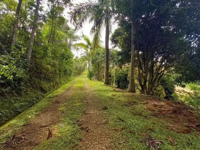 Sítio / Chácara para Venda em Juiz de Fora/MG Salvaterra 3 Quartos