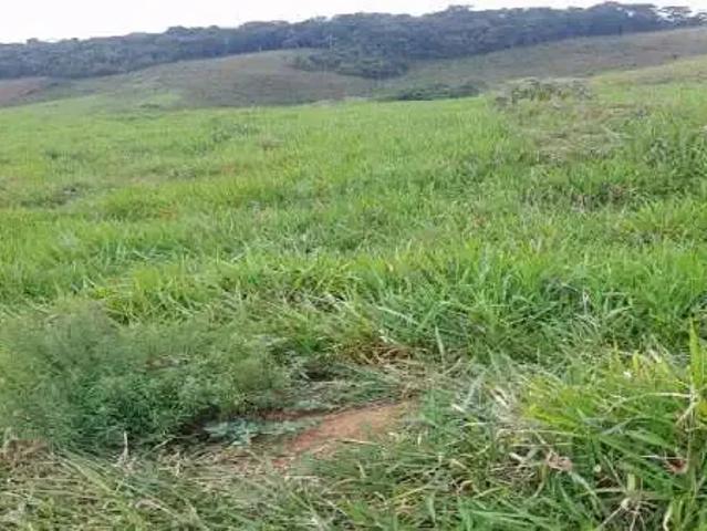 Sítio / Chácara para Venda em Juiz de Fora/MG Torreões