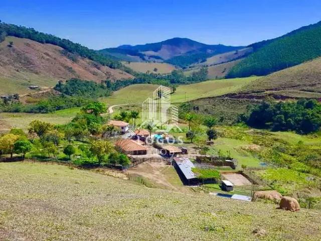 Sítio / Chácara para Venda em Juiz de Fora/MG Valadares 3 Quartos