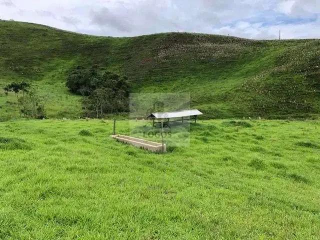 Sítio / Chácara para Venda em Juiz de Fora/MG Valadares 4 Quartos