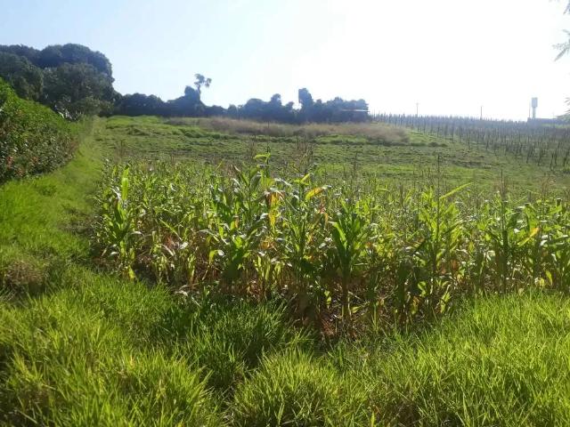 Sítio / Chácara para Venda em Jundiaí/SP Traviú