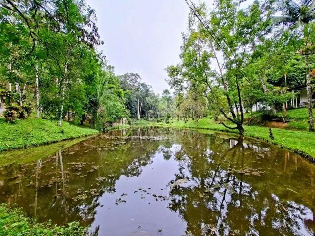 Sítio / Chácara para Venda em Juquitiba/SP Centro