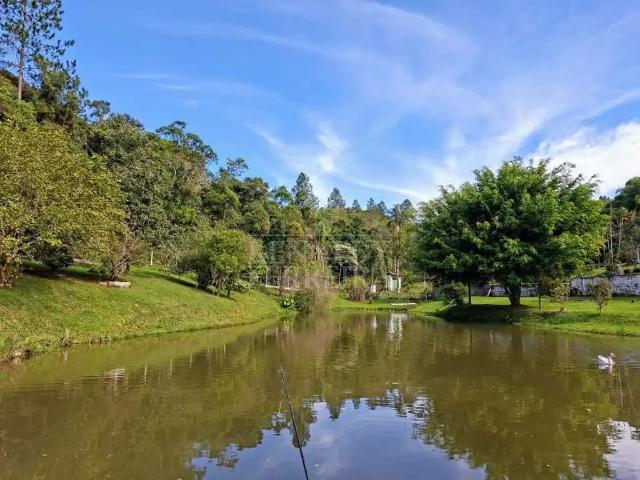 Sítio / Chácara para Venda em Juquitiba/SP Da Palmeirinha 3 Quartos