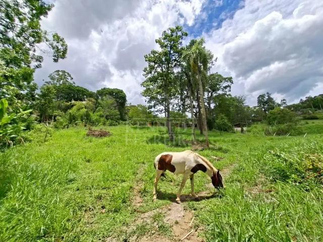 Sítio / Chácara para Venda em Juquitiba/SP Da Palmeirinha 2 Quartos