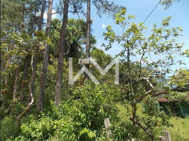 Sítio / Chácara para Venda em Juquiá/SP Zona Rural