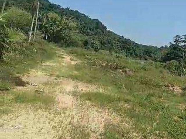 Sítio / Chácara para Venda em Juquiá/SP Zona Rural