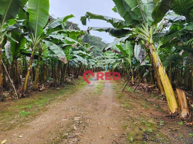Sítio / Chácara para Venda em Juquiá/SP Zona Rural