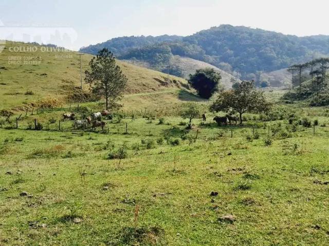 Sítio / Chácara para Venda em Juquiá/SP Zona Rural