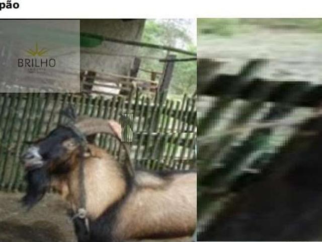 Sítio / Chácara para Venda em Juquiá/SP Zona Rural 3 Quartos