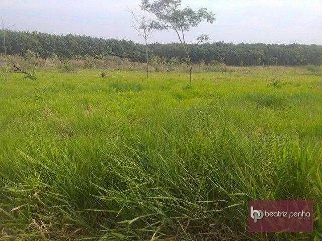 Sítio / Chácara para Venda em Olímpia/SP Zona Rural